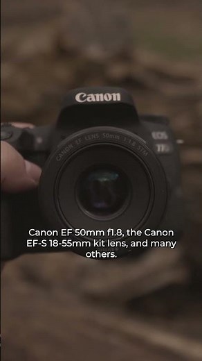 Which Lenses Are They Compatible With? Canon 600D (T3i) vs 2000D (T7)