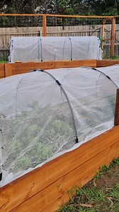 This was my simple and neat way to provide some protection against cabbage moth from last year 🌱 This weekend I'll be pulling the netting out of the shed and putting it up in the front bed which is currently full of broccoli, cauliflower, and kale seedlings. In the back garden bed that had the netting last year I'm trying something different and seeing if the onions I've planted will deter the cabbage moths from the brassicas instead. The netting system uses 19mm irrigation pipe as that's what 