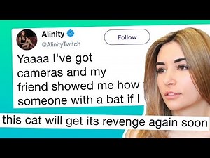 Streamer Alinity's Awful Cat Drama Escalates, Viewers Speaking Up Get Banned