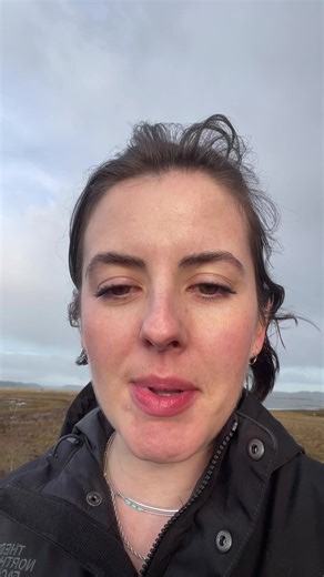 I also told him all about you and what you did…. #blueheron #birding #birdtok #secrets #bsf