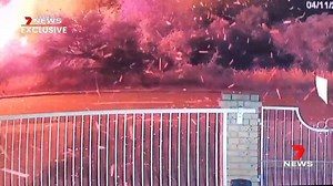 14K views · 136 reactions | A firebug has been recorded lighting bushland in Willetton, sending sparks showering down on homes. | 7NEWS Perth | Facebook