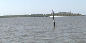 Florida Man visits Cedar Key Boat Rentals and Island Tours to explore the coast