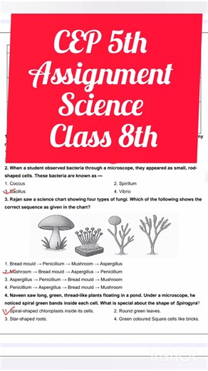 CEP 5th assignment class 8th #science #class8 #pseb #scienceeducation #mcq #cep