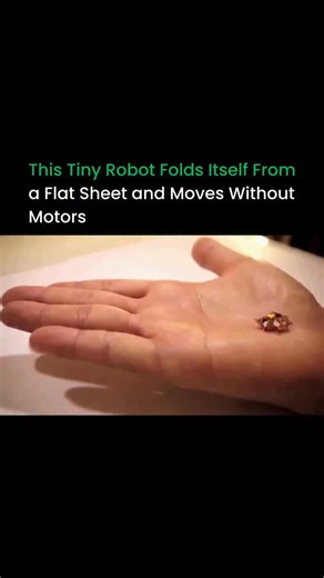 Artificial Intelligence (Ai) •Technology • Robotics | Researchers at MIT have created a miniature origami-style robot that folds itself from a flat sheet into a fully functional machine using... | Instagram
