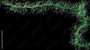 Animated growing vines frame,Alpha Channel included