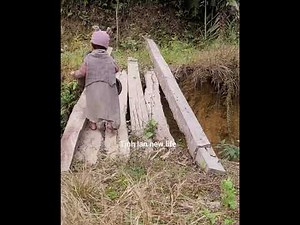 The Harsh Reality of Living in Poverty A Struggle for Survival