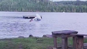 What happened is that we randomly stopped by the Hungry Jack Lodge after dinner at Poplar Haus up the Gunflint Trail, and these two dummies wanted to ride the very stable unicorn floatie out to that platform. And I cannot imagine why or how, but it didn’t go well. Well, it went well for the rest of us who as you can see didn’t try to help so much as just laugh our asses off. You will forgive all of Megan’s swears because this water is as cold as the arctic. Why are my friends like this. Tag your