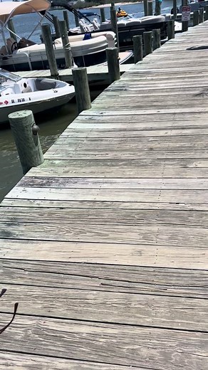 Exploring Paradise Grill and Beach Bar in Long Neck, Delaware