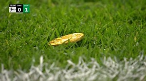 Gladbach-Bremen match delayed as protestors throw chocolate coins onto pitch