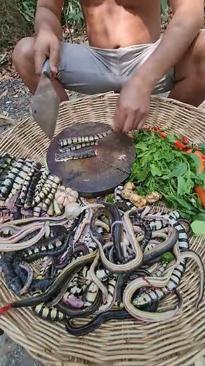 Snake cooking Recipe
