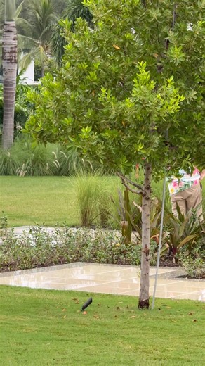 2.5K views · 11 reactions | Paul Jamison on Reels | Facebook