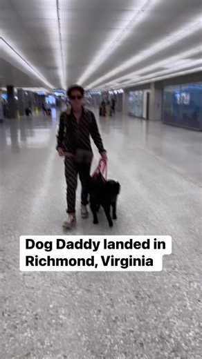 Dog training class here tomorrow 🙌 | The Dog Daddy