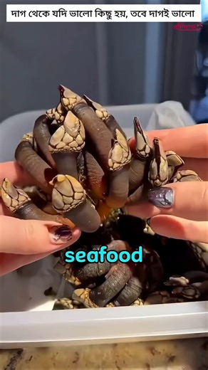 Goose barnacle are eatable and tastes good #seafoods #farming #newfood