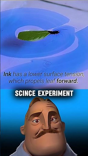Unbelievable Science Experiment with Ink & Surface Tension! #shorts