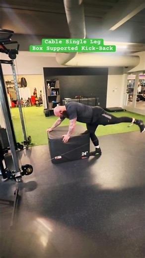Cable Single Leg Box Supported Kick-Back