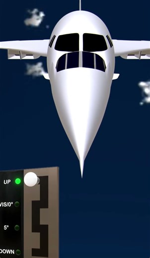 Study Guide in Bio. #aviationgeek #avgeek #pilot #studentpilot #aviation