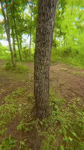 1.3M views · 29K reactions | Loka Vision | LSD Psychedelic ART | Facebook