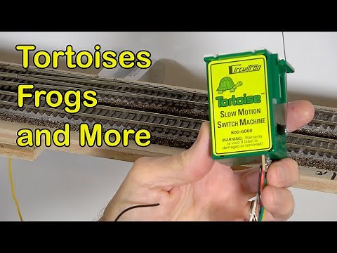 Installing Tortoises, Testing Frogs, and More (344)