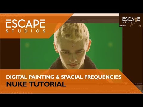 Digital Painting & Spacial Frequencies. Nuke Tutorial