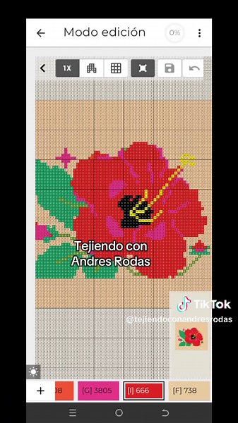 Bolso Wayuu Playera Flor Cayena: Tutorial Completo