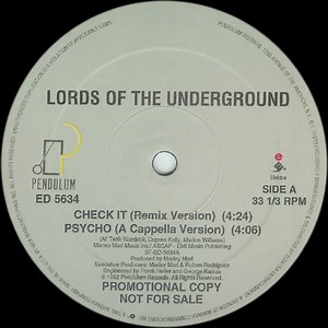 Lords Of The Underground - Check It