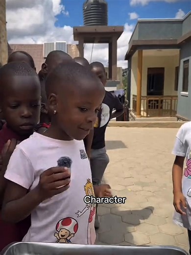 Exploring Characteristics of Chimpugugu