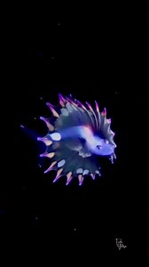 30K views · 451 reactions | Just when we think we've seen it all,...