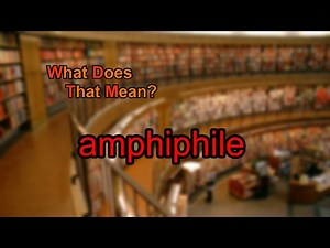 What does amphiphile mean?