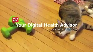 3.1K views · 133 reactions | Make healthy choices and get major...