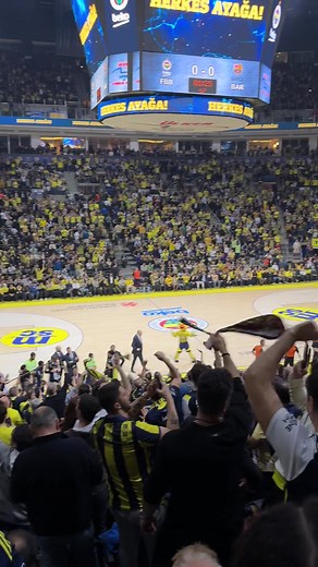 Dusan Tadic Basketball Highlights: Tadic On Fire