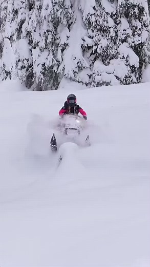 ouchhh #skidoo #polaris #snowmobile #wintervibes #snow