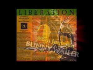 BUNNY WAILER - Serious Thing (Liberation)