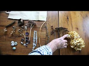 Still Life Photography Tutorial.wmv