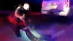 US-Polizist fängt riesigen Tigerpython