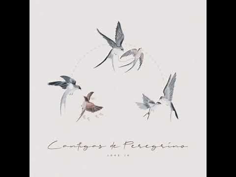 Prenda-me A Ti | José Jr