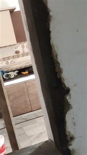 From 0 Subscribers to Growth 🚀 | New Channel Intro