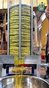 5.7K views · 36 reactions | Discover how olive oil is made using one of the world’s oldest methods — cold pressing. From ancient stone mills powered by horses to modern machines that preserve purity without heat, this timeless craft keeps the golden flavor and natural antioxidants alive. A perfect blend of history, tradition, and nature. #OliveOil #ColdPressed #TraditionalCraft | Cerita Kang Kolik | Facebook