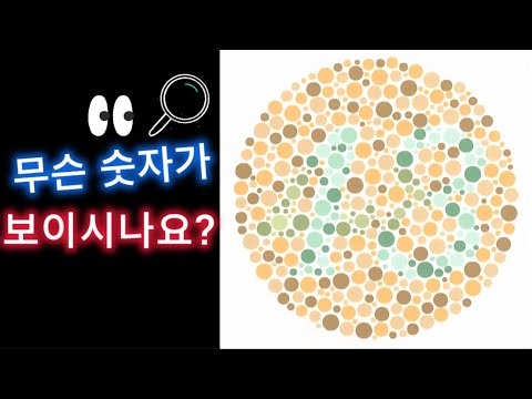 🎯 “보이면 정상! 안 보이면…? 색각 테스트 👀”