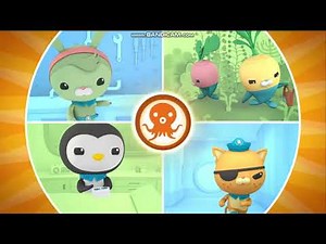 Octonauts, to the Launch Bay!