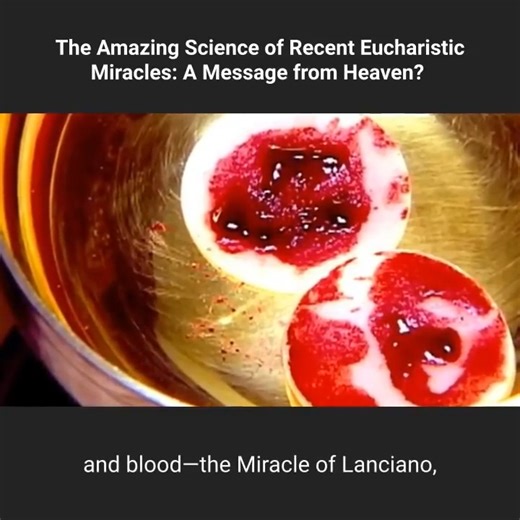1K views · 20 reactions | The Amazing Science of Recent Eucharistic Miracles; A Message from Heaven | Proudly Catholic | Facebook