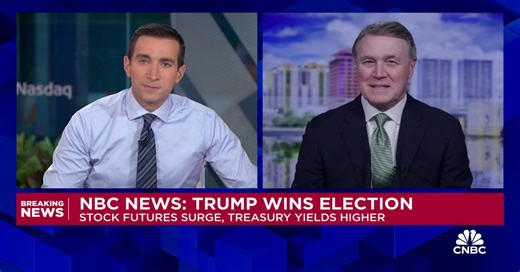 Former Sen. David Perdue: Election showed the American people really want to get back to the basics