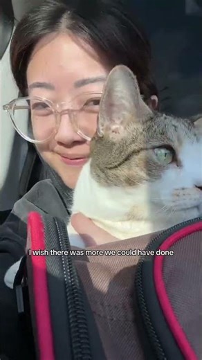 At least I got to show the world that Sven was something special.