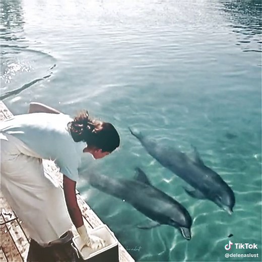 Mermaid Transformation Gifs - Cleo, Rikki, Emma, Bella | H2O Just Add Water