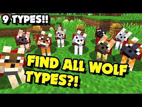 How to Find ALL WOLF TYPES in Minecraft 1.20.5+? Find All Wolves | All Variants [Easy]