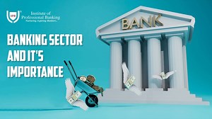 What is the banking Sector?