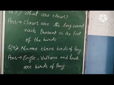 DAV ,science ,class -4 (chapter 5) question answers of birds beaks and claws