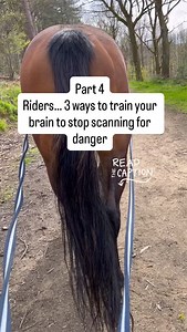 Now that you understand what the RAS is, let’s talk about how to start training it. Your RAS shows you what it thinks is important. So if your brain is used to scanning for danger, that is all you will notice. But the empowering part is that you can teach it to filter differently. Here are three simple ways riders can start training the RAS to look for safety instead of threat. Number one: name what is going well. Your RAS responds to repeated cues, so when you start saying things like ‘My horse