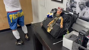 606K views · 7.6K reactions | Pacman is back in camp! 壘 Boxing's only eight-division world champion Manny Pacquiao is back in camp at the famed Wild Card Boxing Gym in Los Angeles, California to prepare for his highly anticipated ring return in early 2026! | Viva Promotions | Facebook