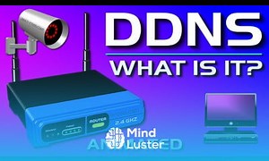 Mind Luster - Learn DDNS Dynamic DNS Explained
