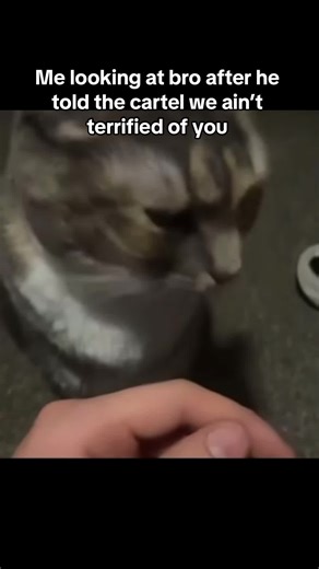 #real #relateable #cartel #juanmartha #bro #doomed | juan martha